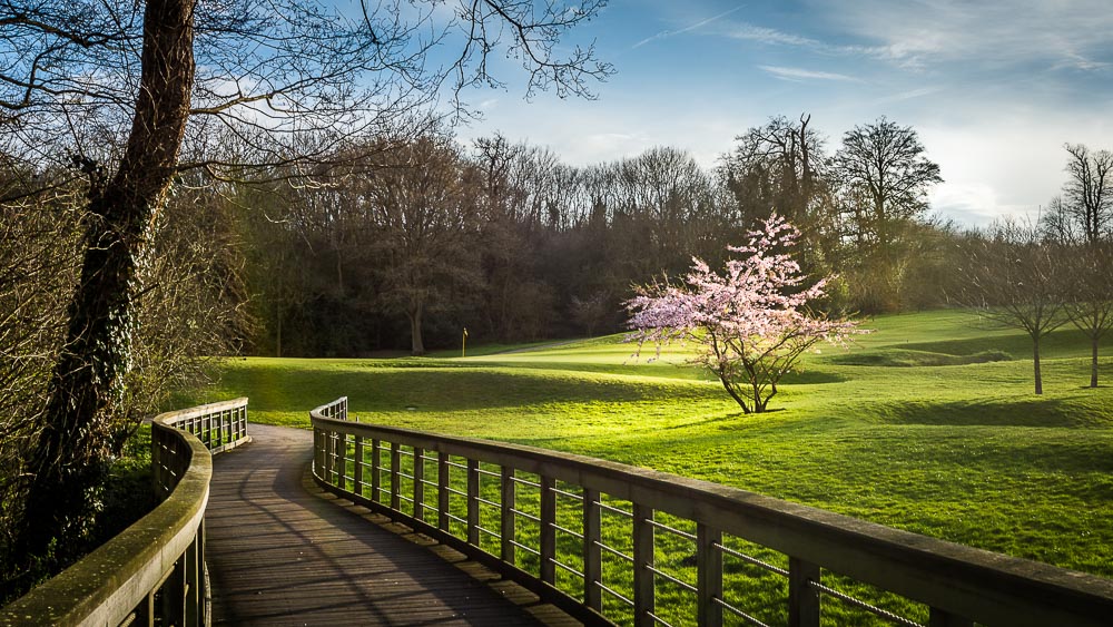 Cassiobury park, the place where I'm going when I want to dream
