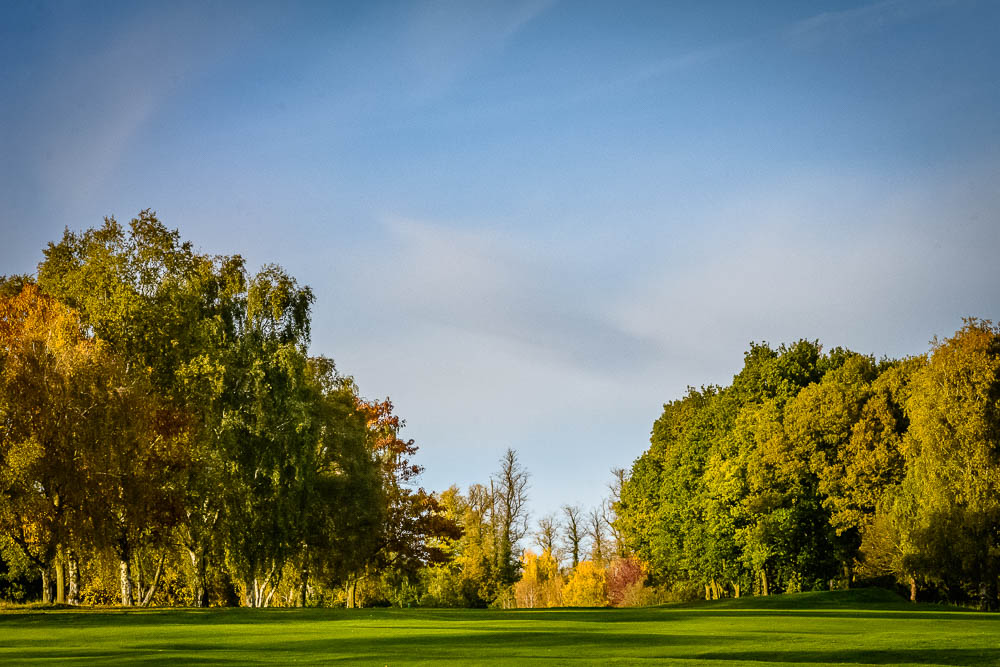 Cassiobury park, the place where I'm going when I want to dream